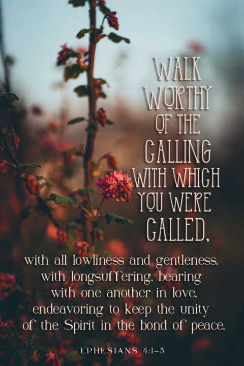 Eph 4:1-3 | Photos with Gods Word