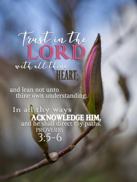 Proverbs 3:5-6 | Photos with Gods Word