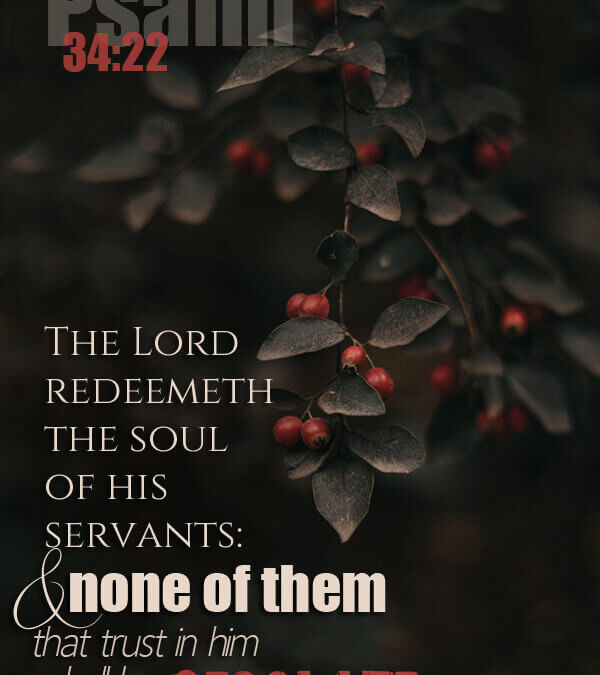 Photos with God’s Word | Photos with Gods Word