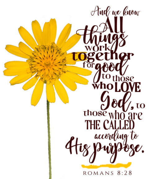 Romans 8:28 | Photos with Gods Word