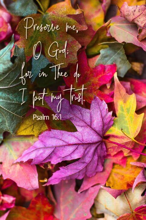 Psalm 16:1 | Photos with Gods Word