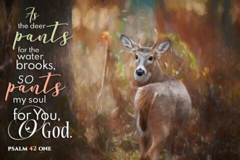 Psalm 42:1 | Photos with Gods Word