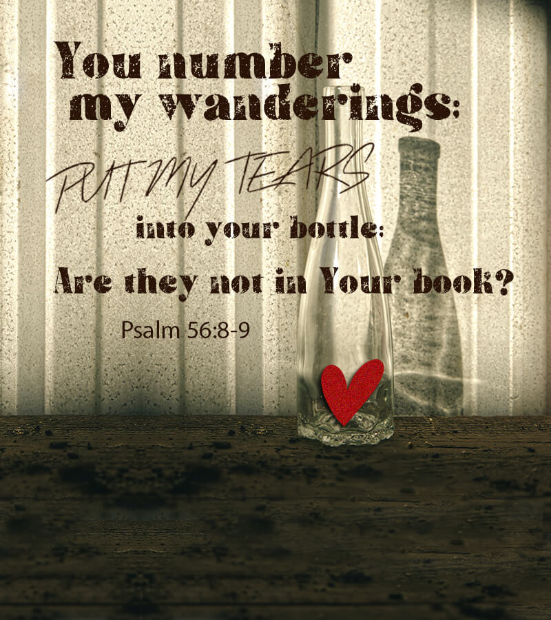 Psalm 56 8 Photos With Gods Word