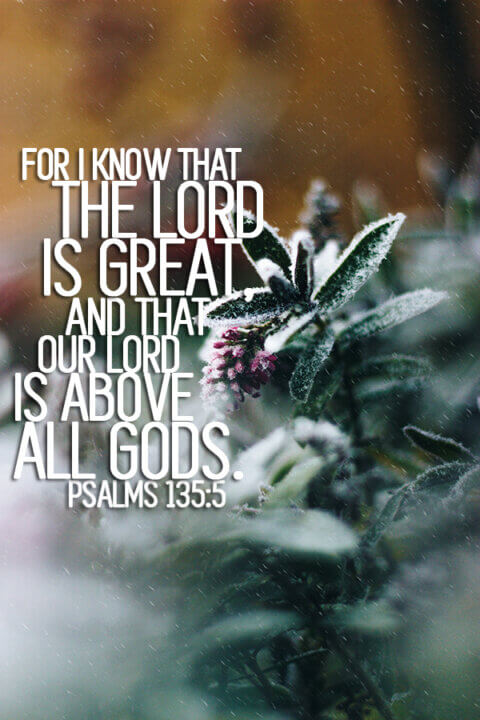 Psalms 135:5 | Photos with Gods Word