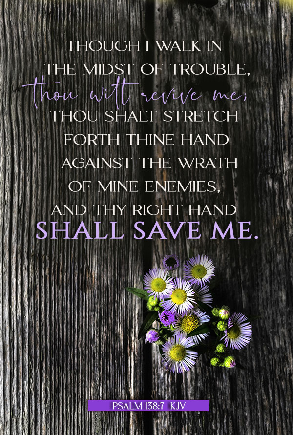 Psalm 138 7 Photos With Gods Word