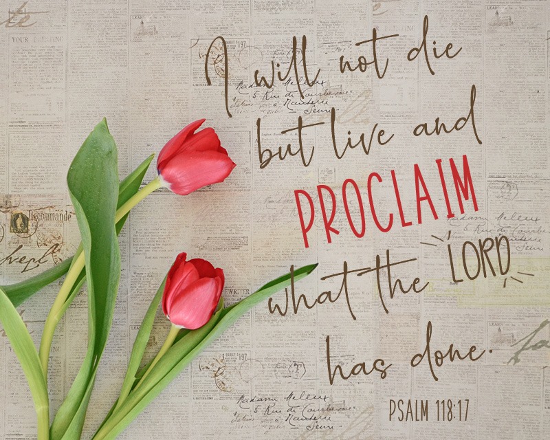 Psalm 118 17 Photos With Gods Word