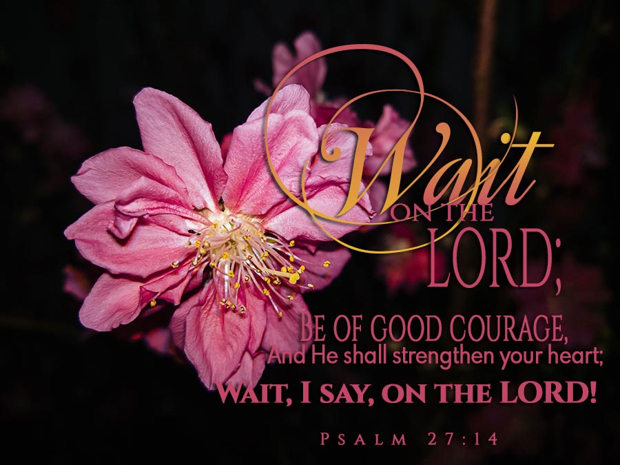 Psalm 27 14 Photos With Gods Word