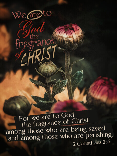 2 Corinthians 2:15 | Photos with Gods Word