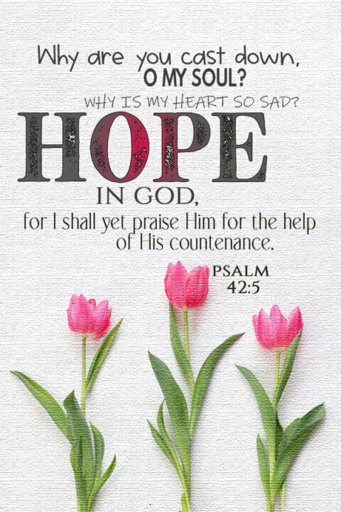 Psalm 42:5 | Photos with Gods Word