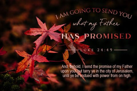 Luke 24:49 | Photos with Gods Word