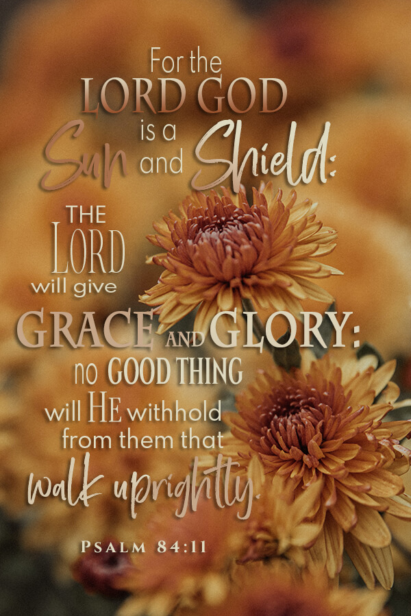 Psalm 84 11 Photos With Gods Word