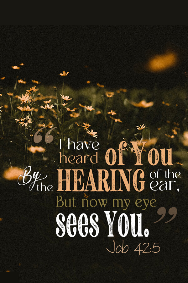 Job 42 5 Photos With Gods Word