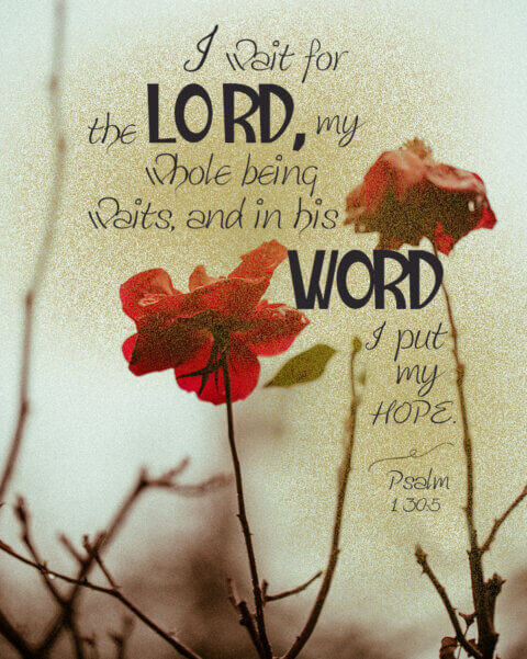 Psalm 130:5 | Photos with Gods Word